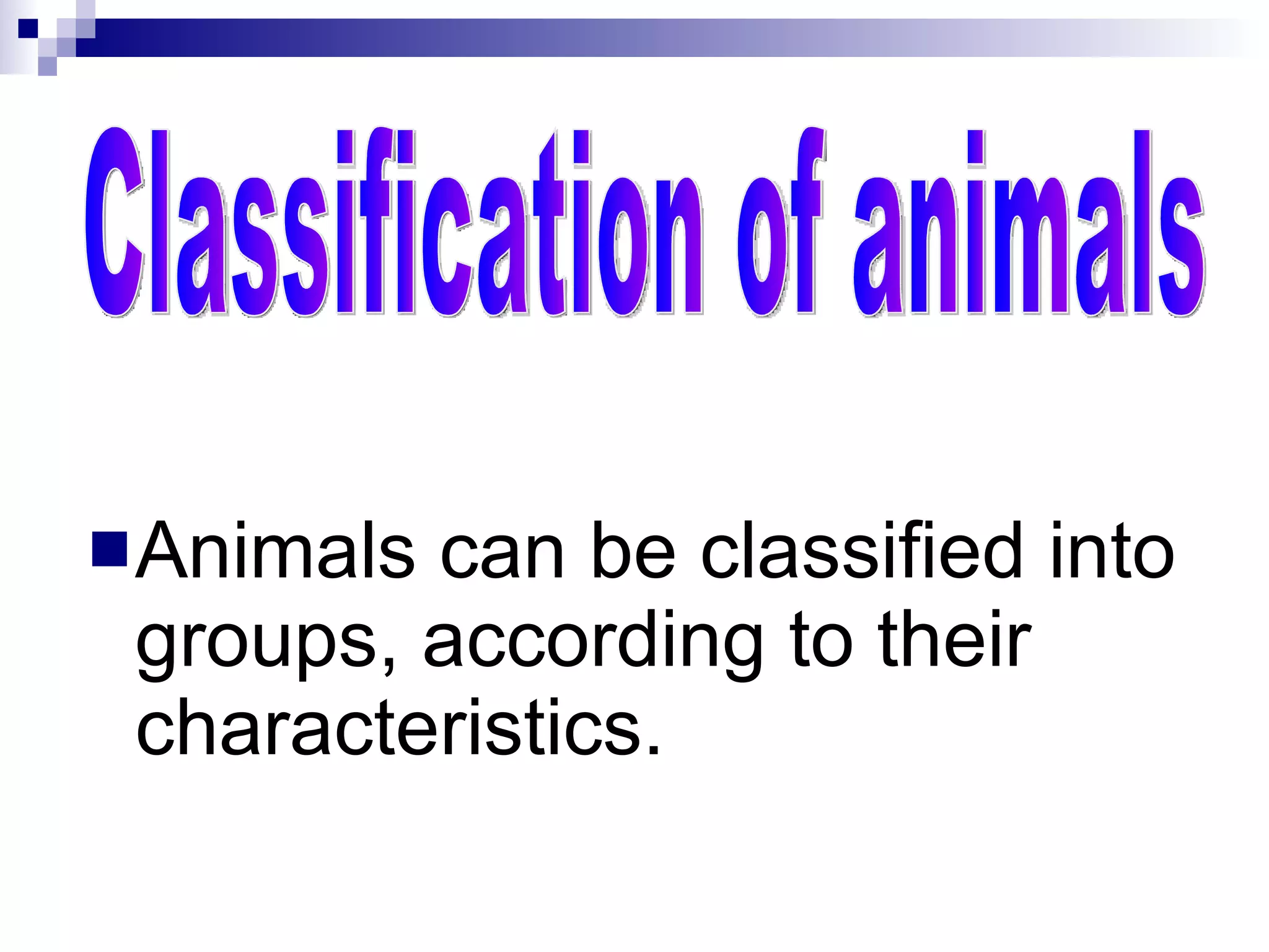 Classification Of Animals | PPT