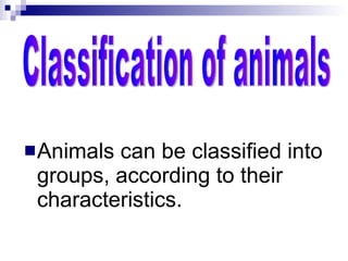 Classification Of Animals | PPT