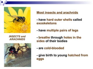 Classification Of Animals | PPT