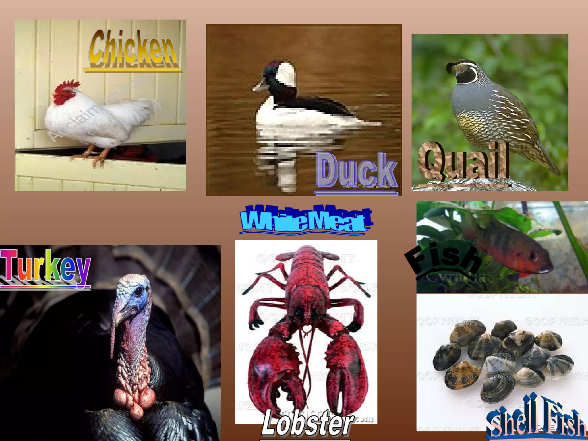 classification of commodities | PPT