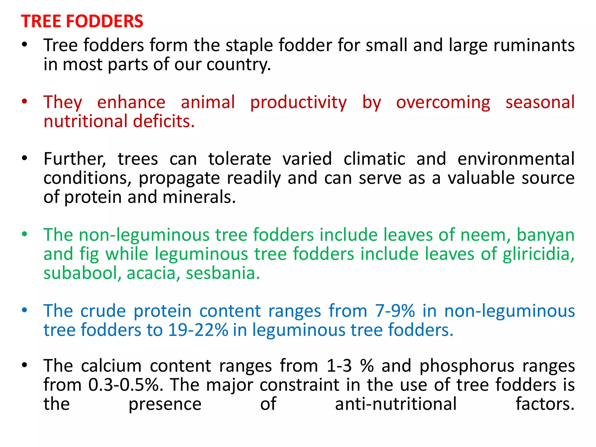 Classification-of-feedstuffs.pdf
