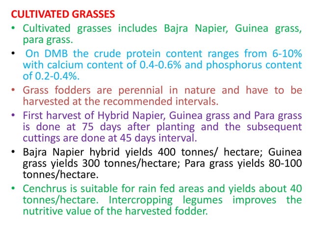 Classification-of-feedstuffs.pdf | Nutrition | Healthy Living