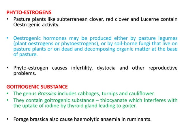 Classification-of-feedstuffs.pdf | Nutrition | Healthy Living