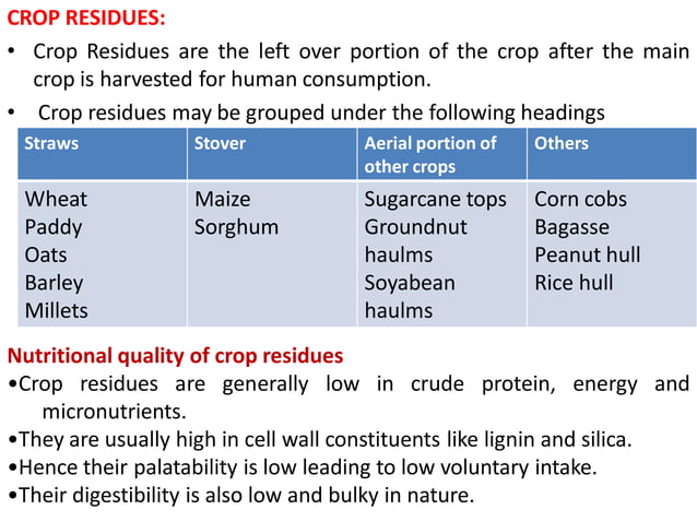 Classification-of-feedstuffs.pdf | Nutrition | Healthy Living
