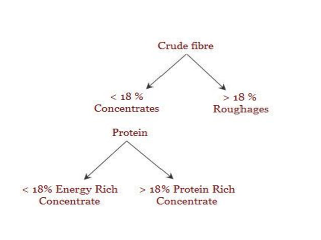 Classification-of-feedstuffs.pdf | Nutrition | Healthy Living