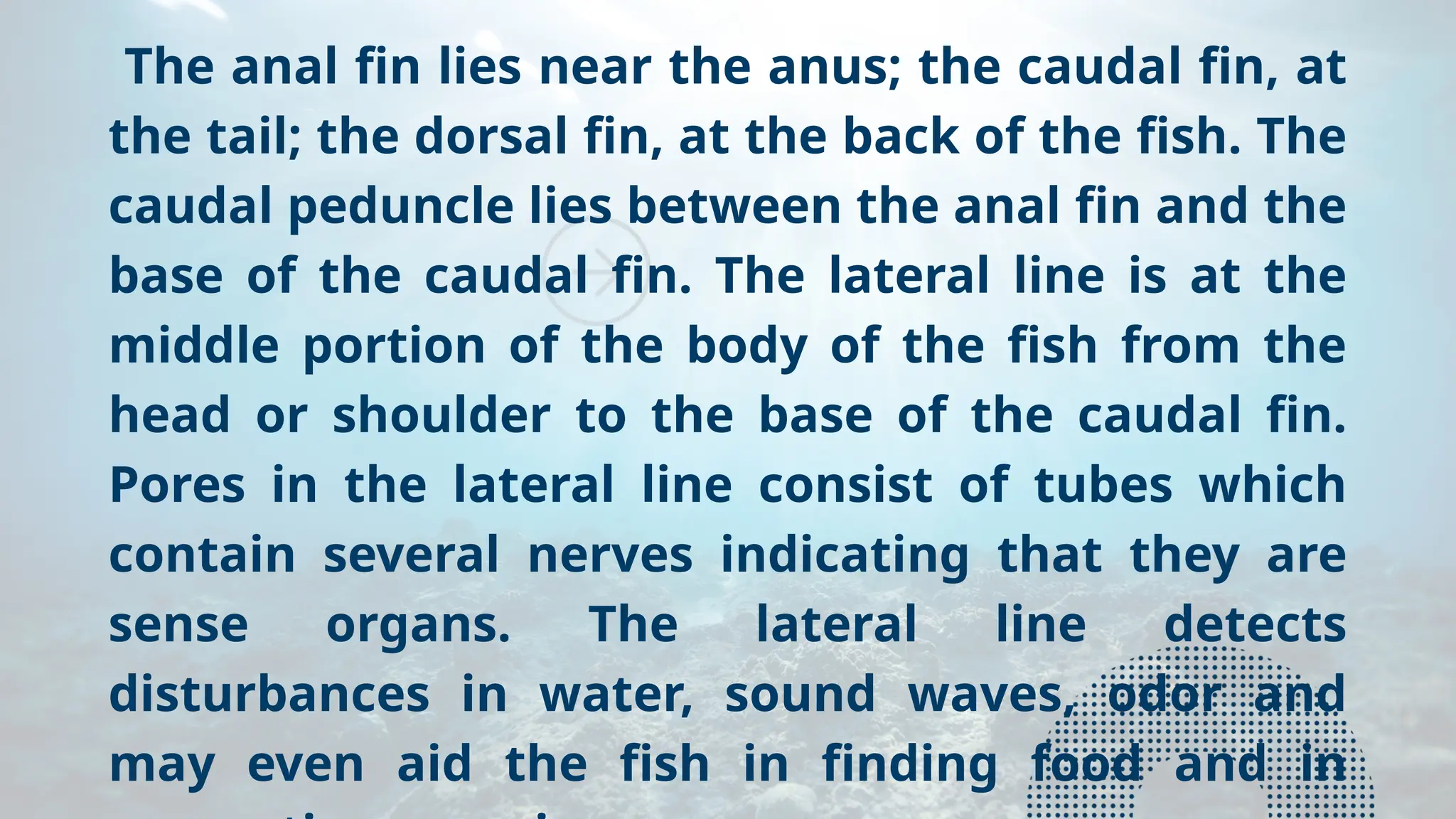 classification-of-fish-presentation2.pptx