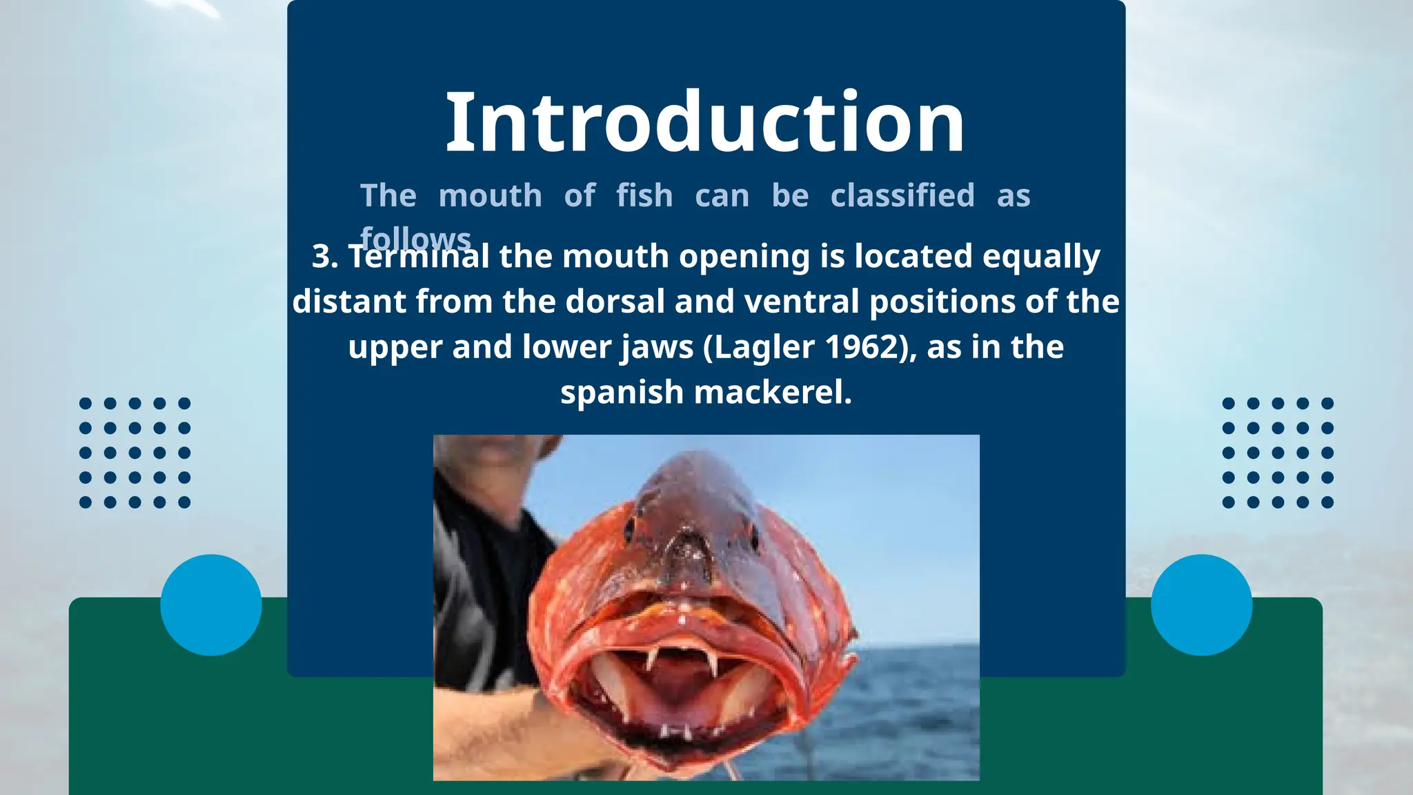 classification-of-fish-presentation2.pptx