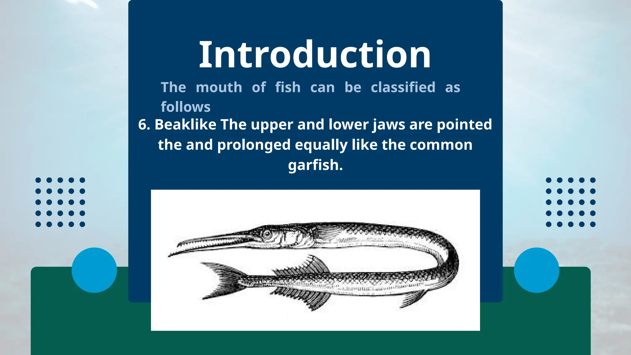 classification-of-fish-presentation2.pptx