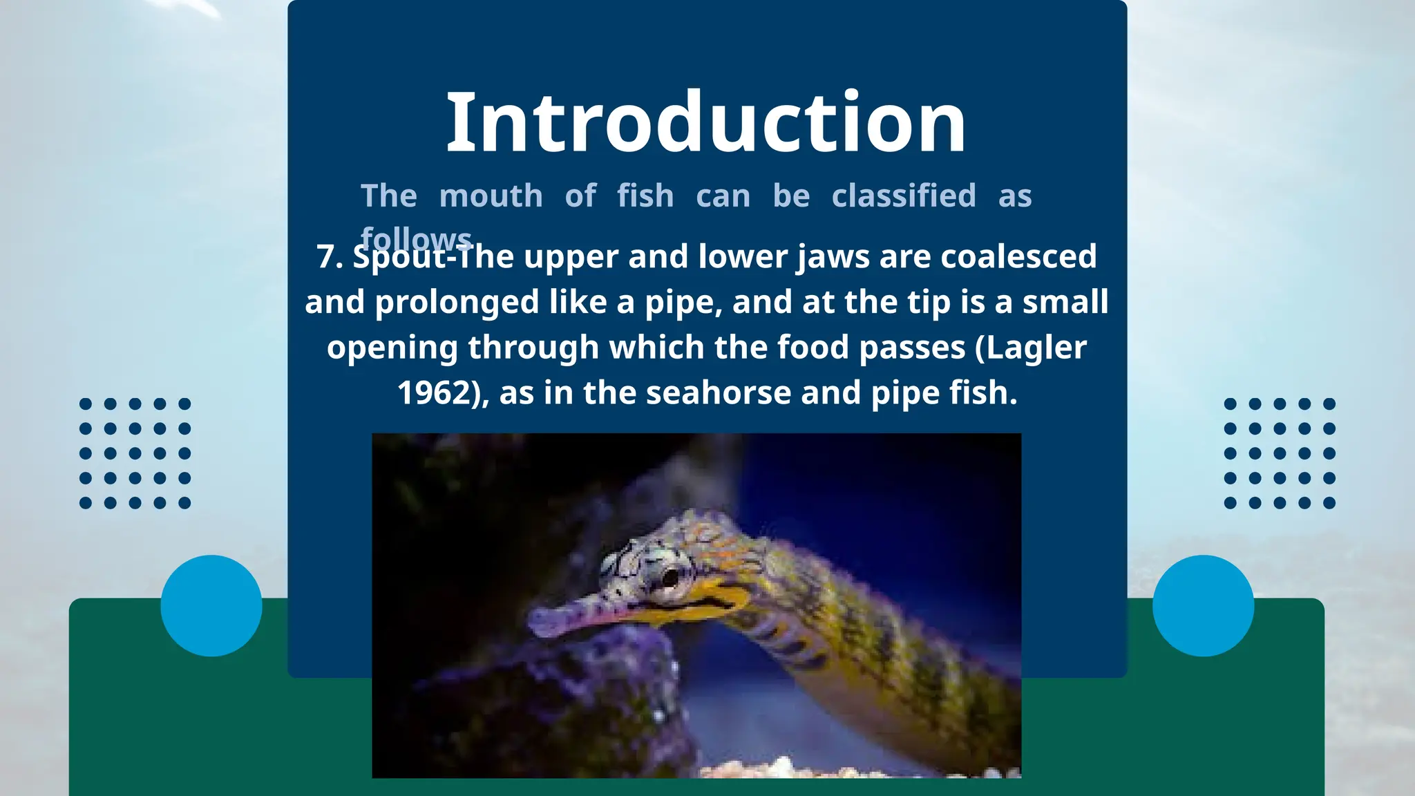classification-of-fish-presentation2.pptx