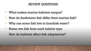 Classification-of-Fish--Understanding-Aquatic-Habitats.pptx