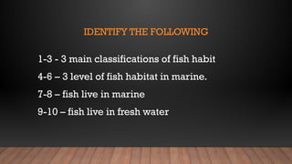 Classification-of-Fish--Understanding-Aquatic-Habitats.pptx