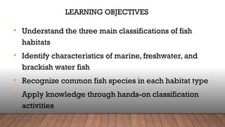 Classification-of-Fish--Understanding-Aquatic-Habitats.pptx