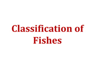 Classification-of-fishes.pdf