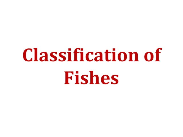 Classification-of-fishes.pdf