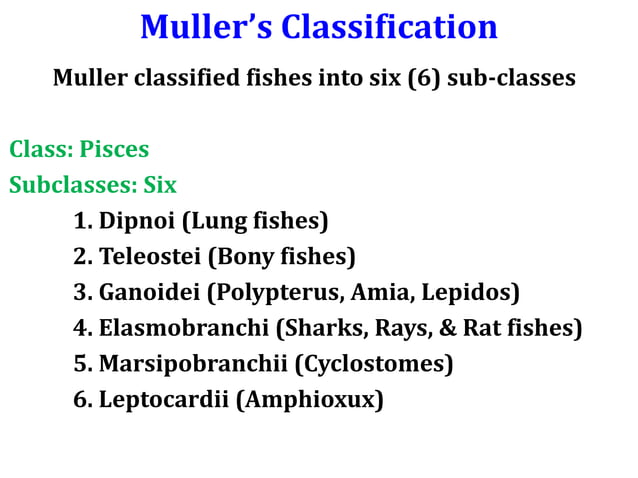 Classification-of-fishes.pdf