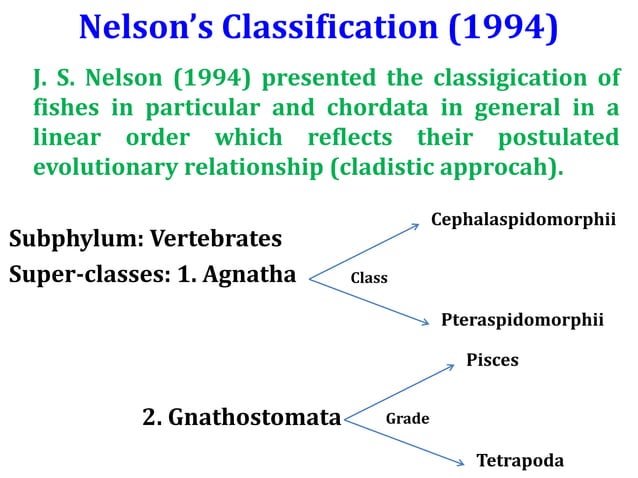 Classification-of-fishes.pdf