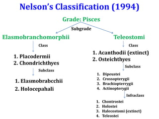 Classification-of-fishes.pdf