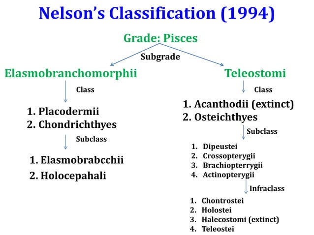 Classification-of-fishes.pdf