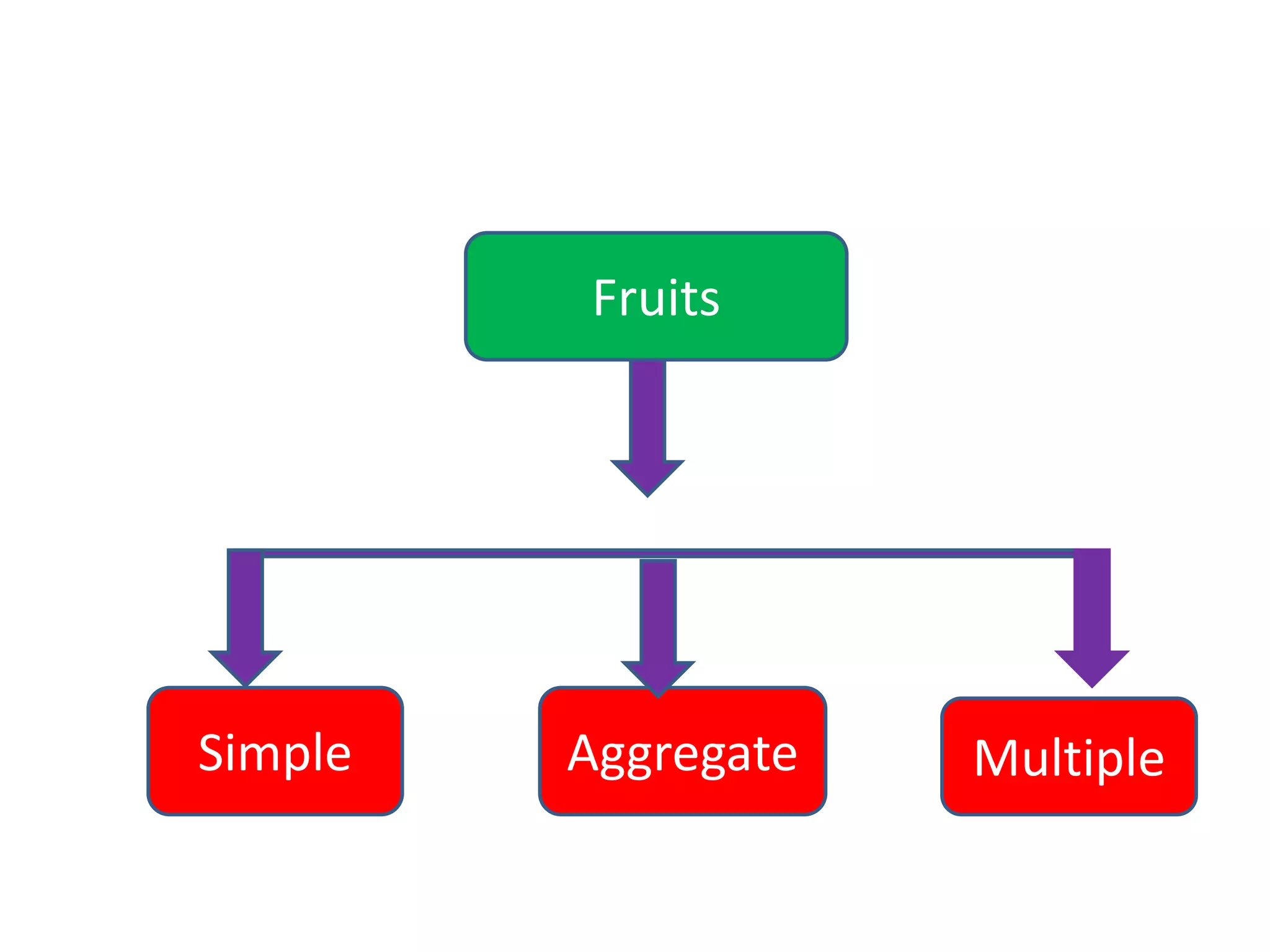 Classification of fruits | PPTX