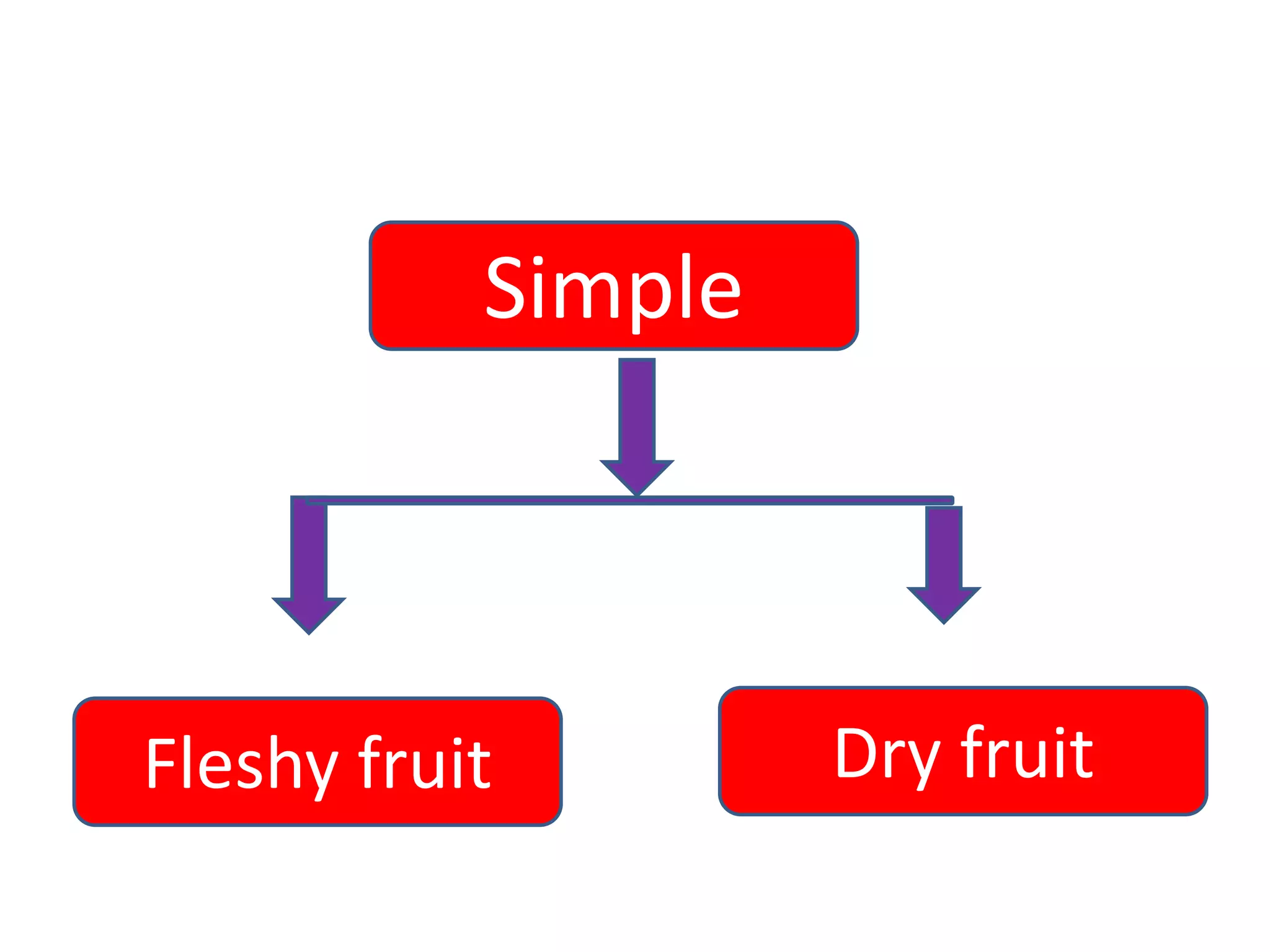 Classification of fruits | PPTX