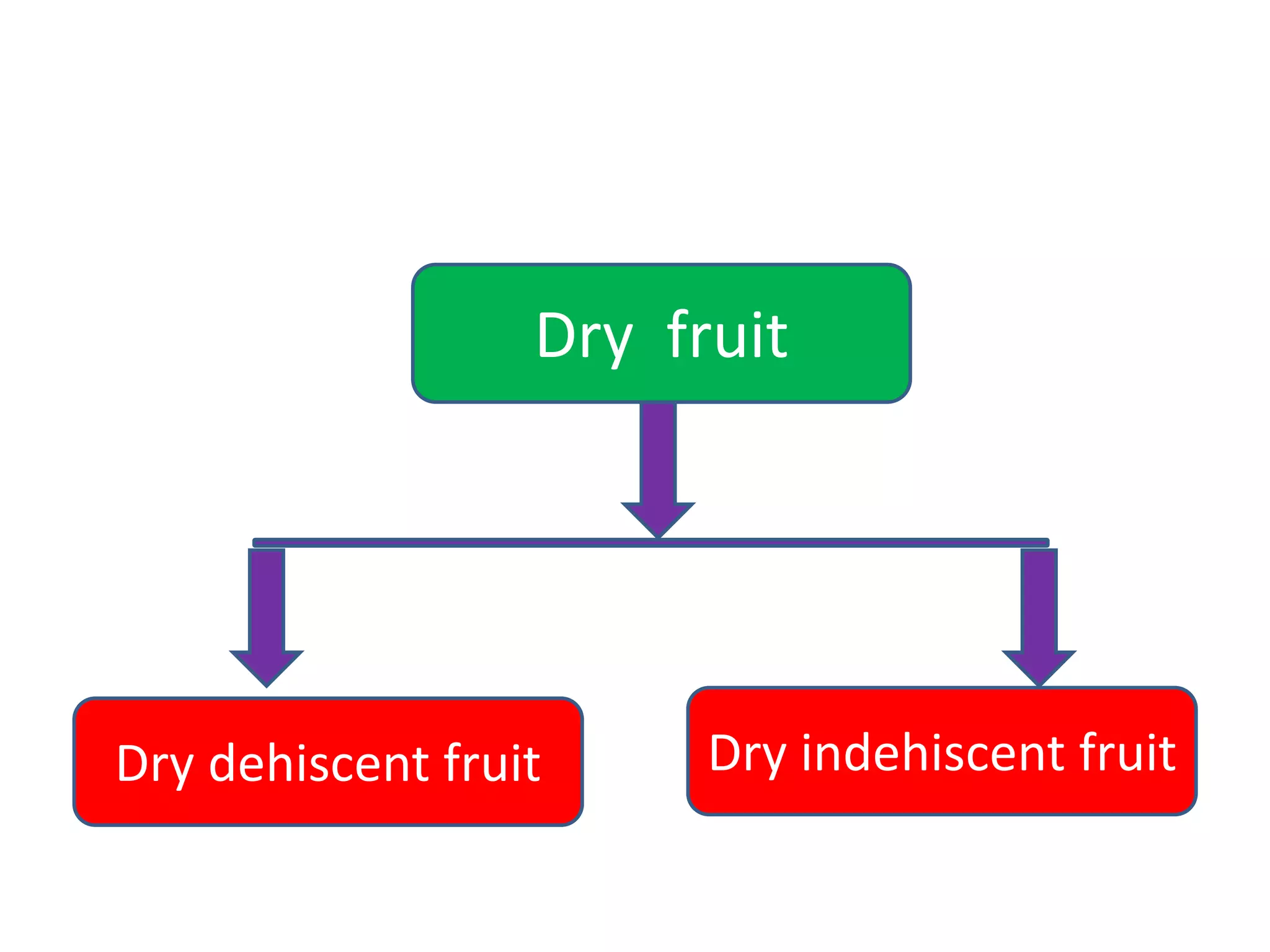 Classification of fruits | PPTX