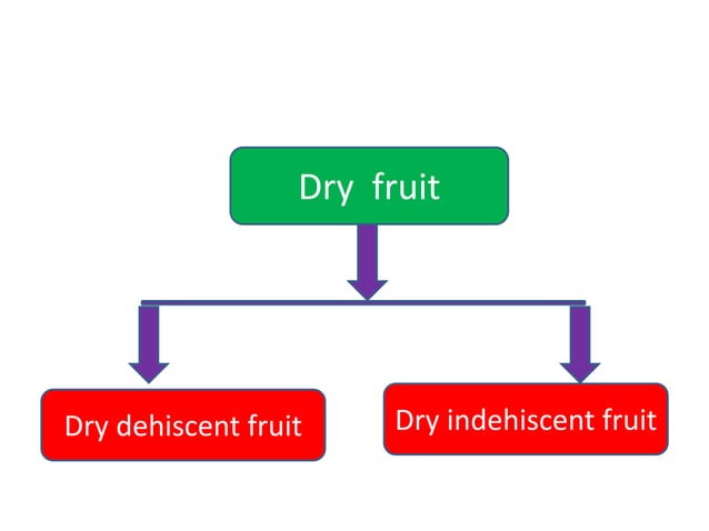 Classification of fruits | PPTX | Food & Drink