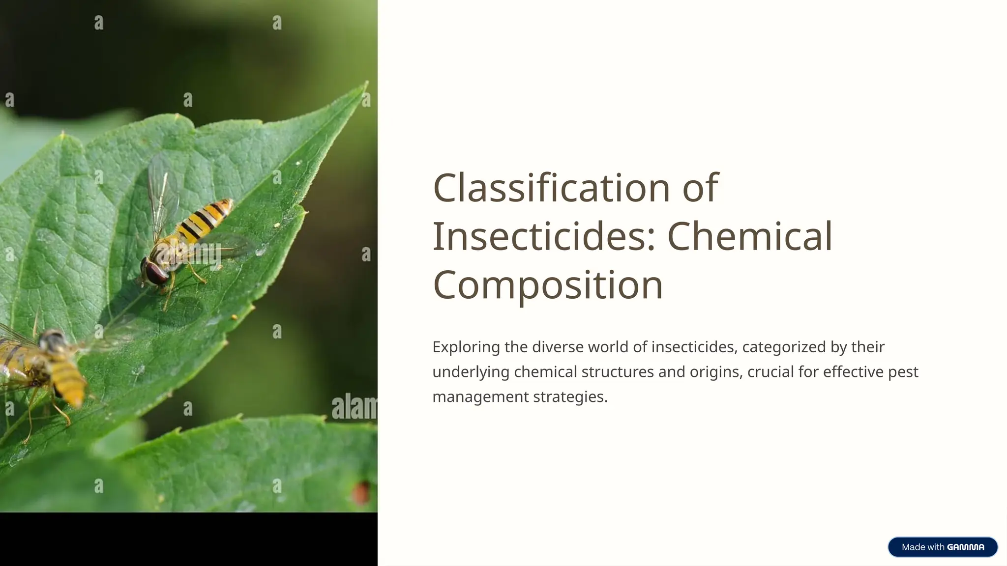 Classification of Insecticides Chemical Composition.pptx