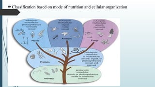 Classification-of-Microorganisms.pptx consist of all the types of ...