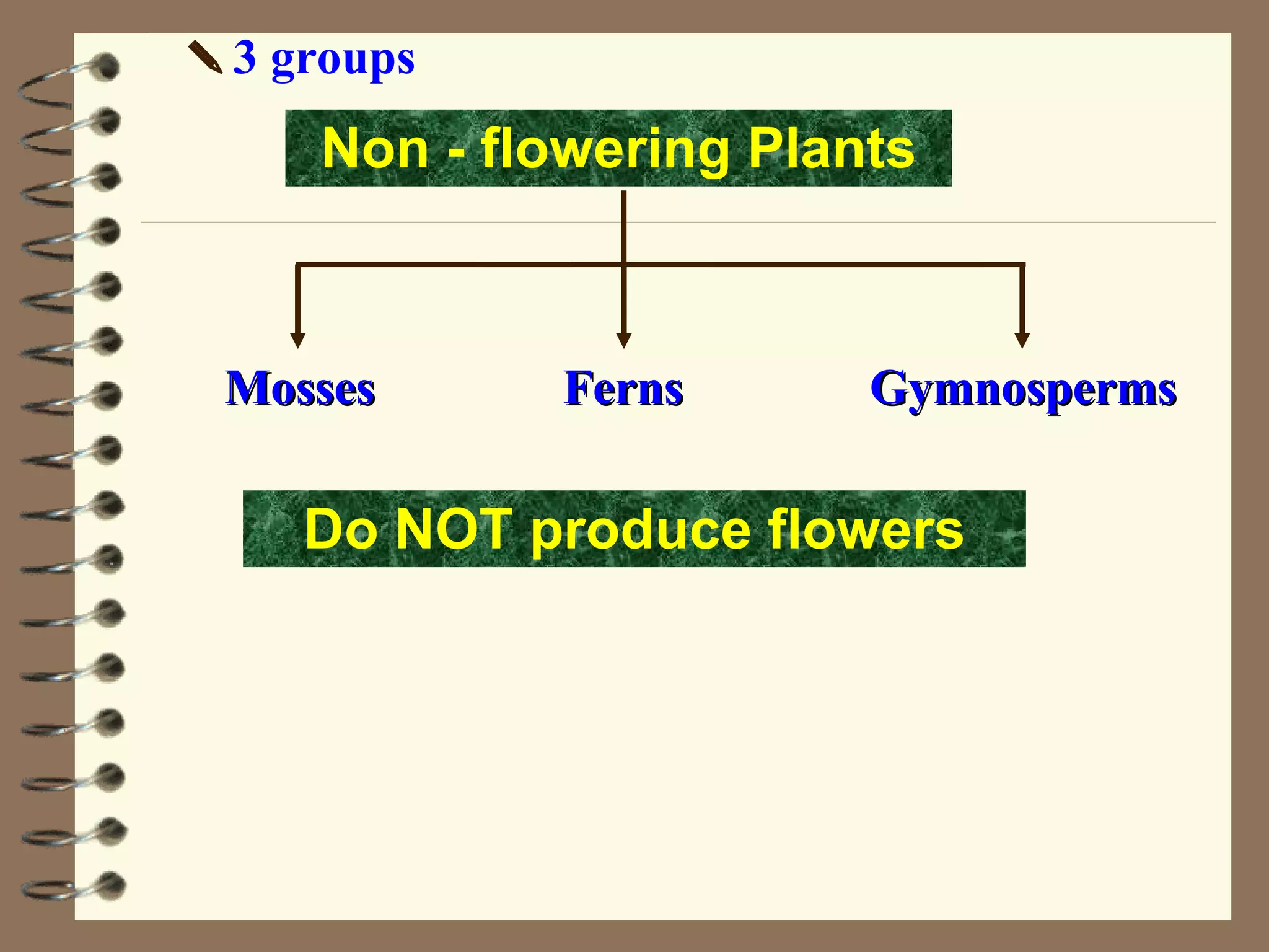 Classification Of Plants | PPT