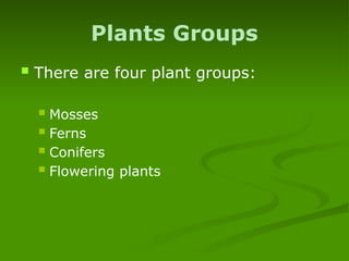 Classification of plants for Sec Biology | PPTX
