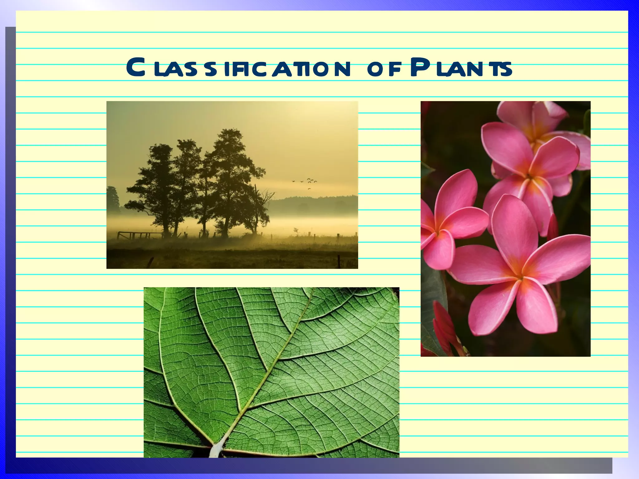 Classification of-plants-and-animals | PPT
