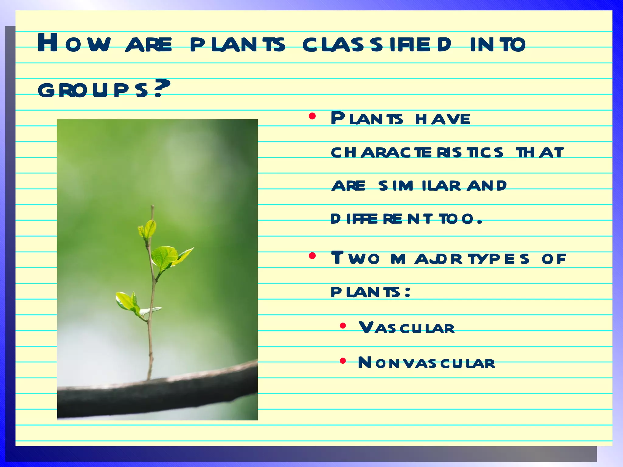 Classification of-plants-and-animals | PPT