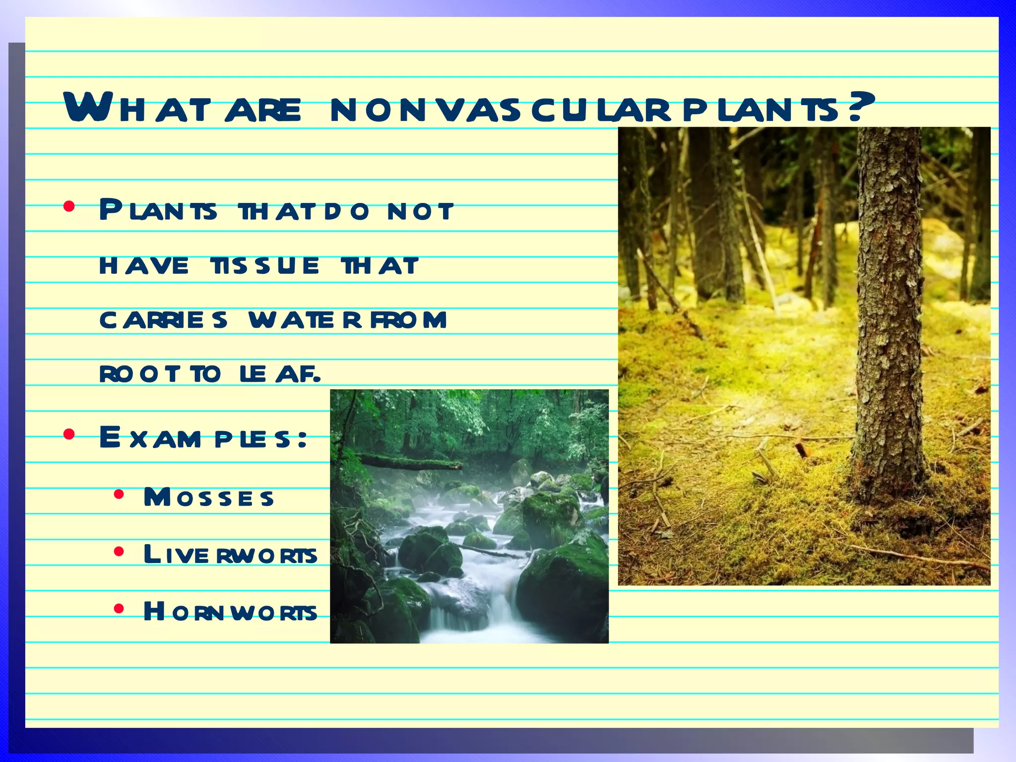 Classification of-plants-and-animals | PPT