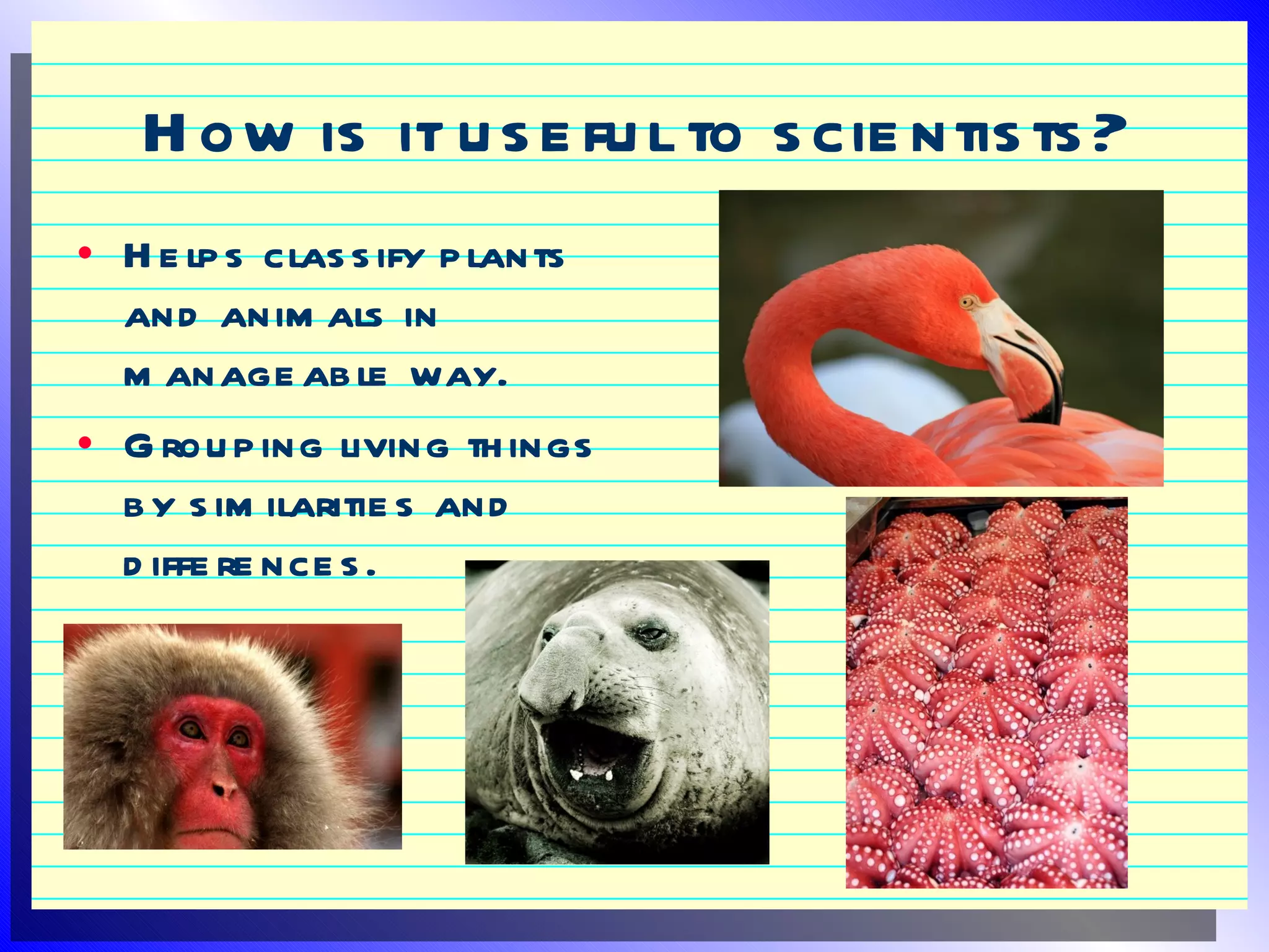 Classification of-plants-and-animals | PPT