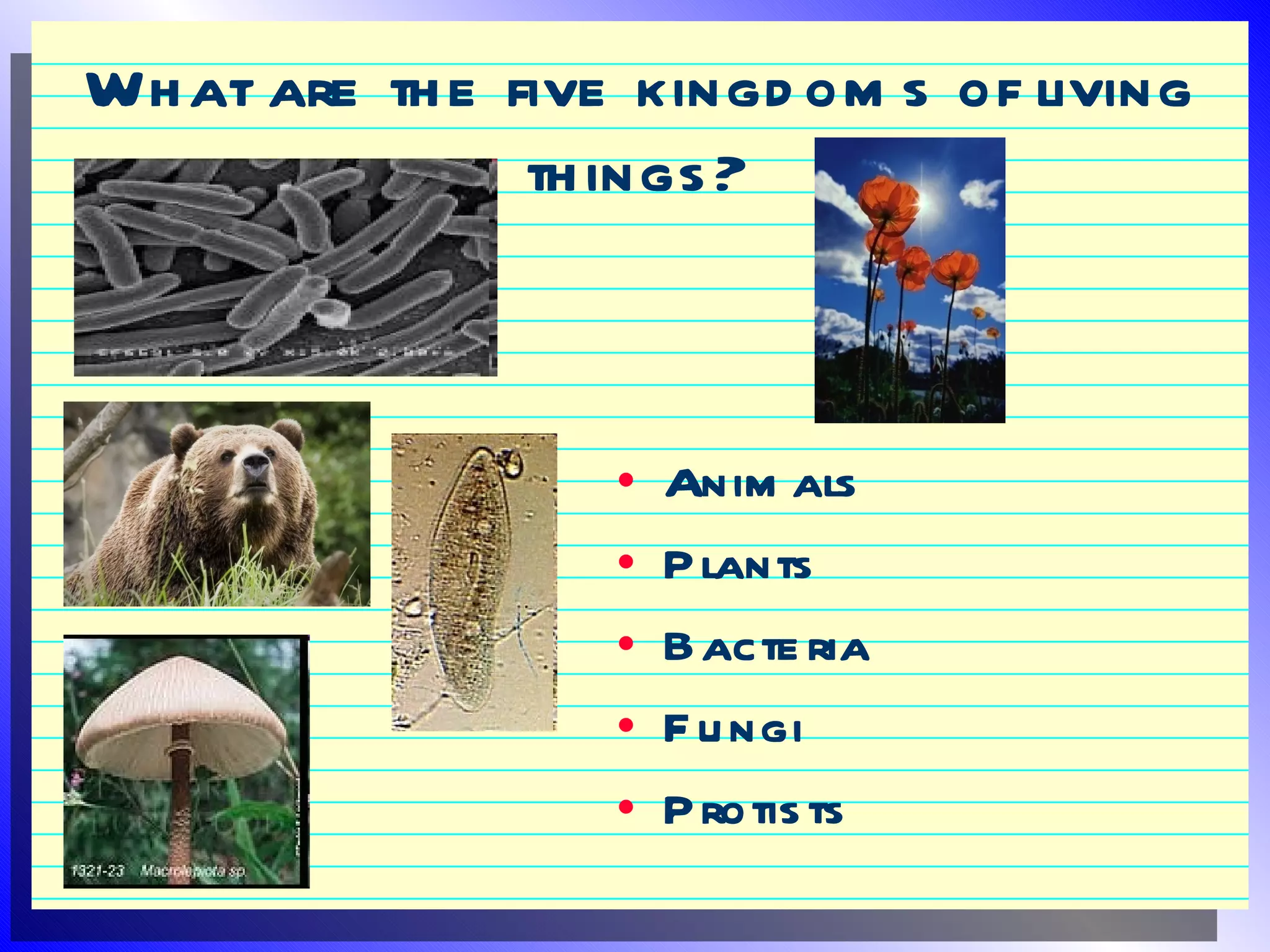 Classification of-plants-and-animals | PPT