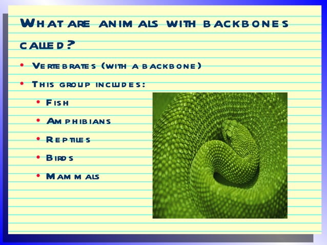 Classification of-plants-and-animals | PPT | Biological Sciences | Science