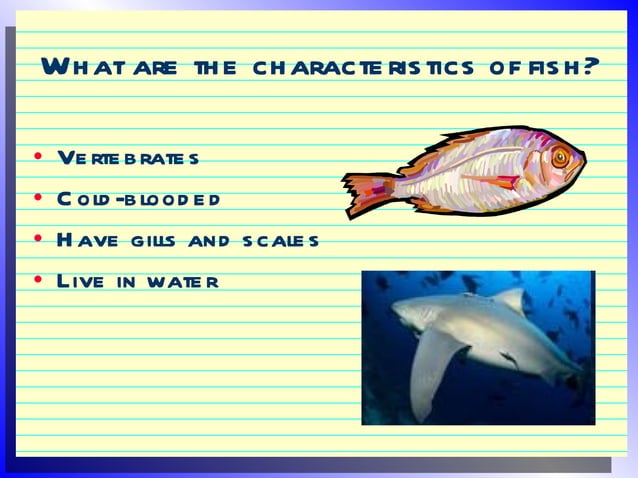 Classification of-plants-and-animals | PPT | Biological Sciences | Science