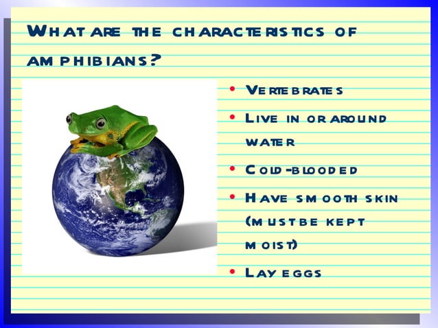 Classification of-plants-and-animals | PPT | Biological Sciences | Science