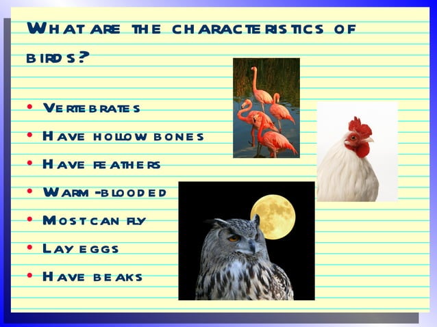 Classification of-plants-and-animals | PPT | Biological Sciences | Science