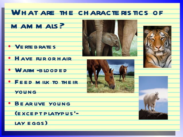 Classification of-plants-and-animals | PPT | Biological Sciences | Science
