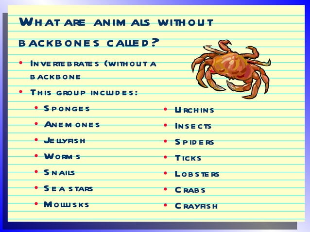 Classification of-plants-and-animals | PPT | Biological Sciences | Science