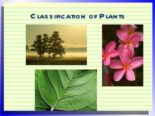 Classification of-plants-and-animals | PPT