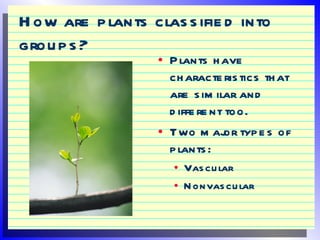 Classification of-plants-and-animals | PPT | Biological Sciences | Science