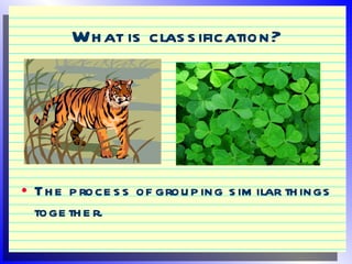 Classification of-plants-and-animals | PPT
