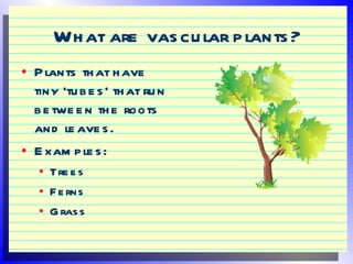 Classification of-plants-and-animals | PPT