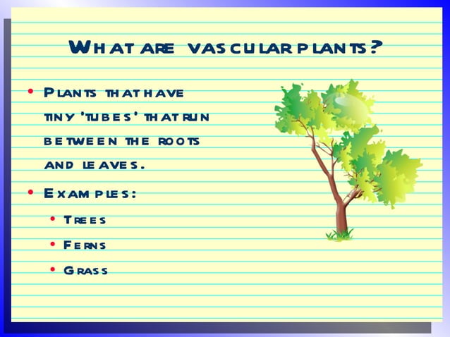 Classification of-plants-and-animals | PPT | Biological Sciences | Science