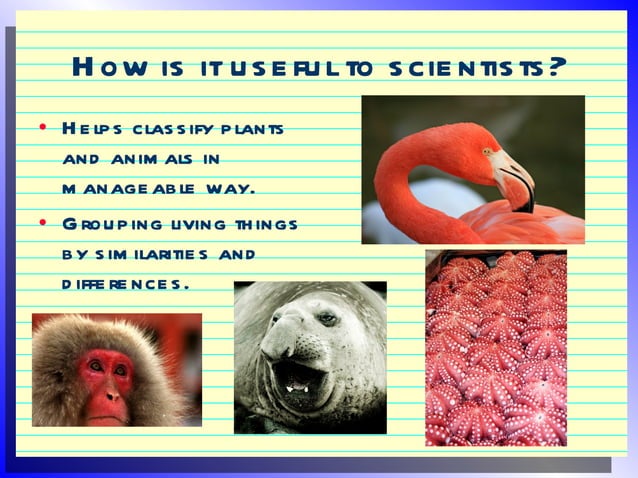 Classification of-plants-and-animals | PPT | Biological Sciences | Science