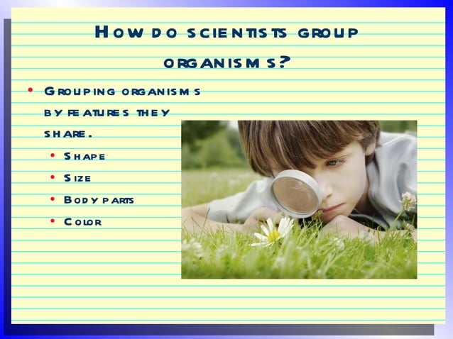 Classification of-plants-and-animals | PPT | Biological Sciences | Science