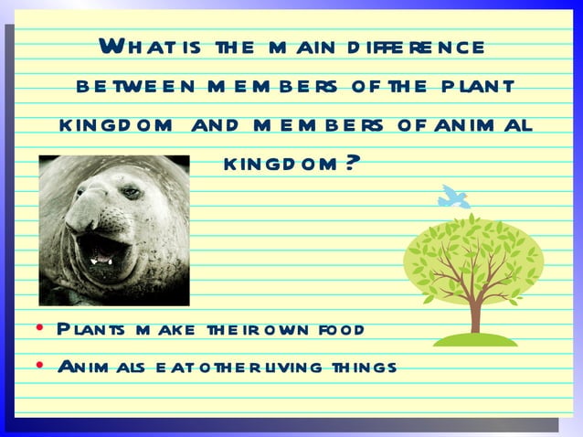 Classification of-plants-and-animals | PPT | Biological Sciences | Science