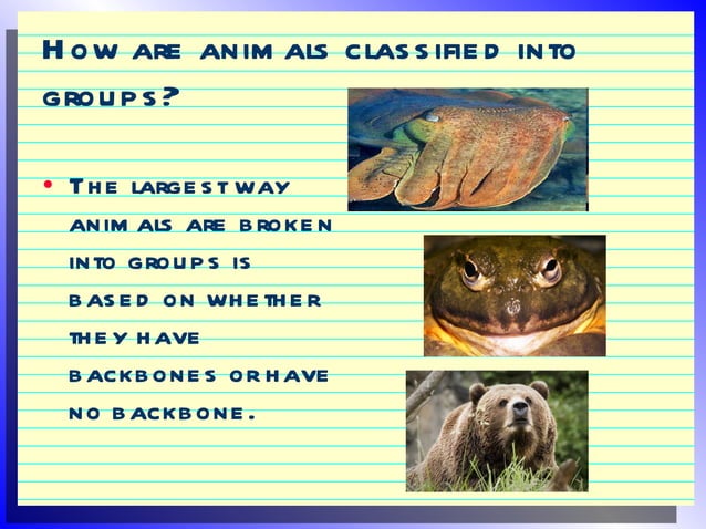 Classification of-plants-and-animals | PPT | Biological Sciences | Science